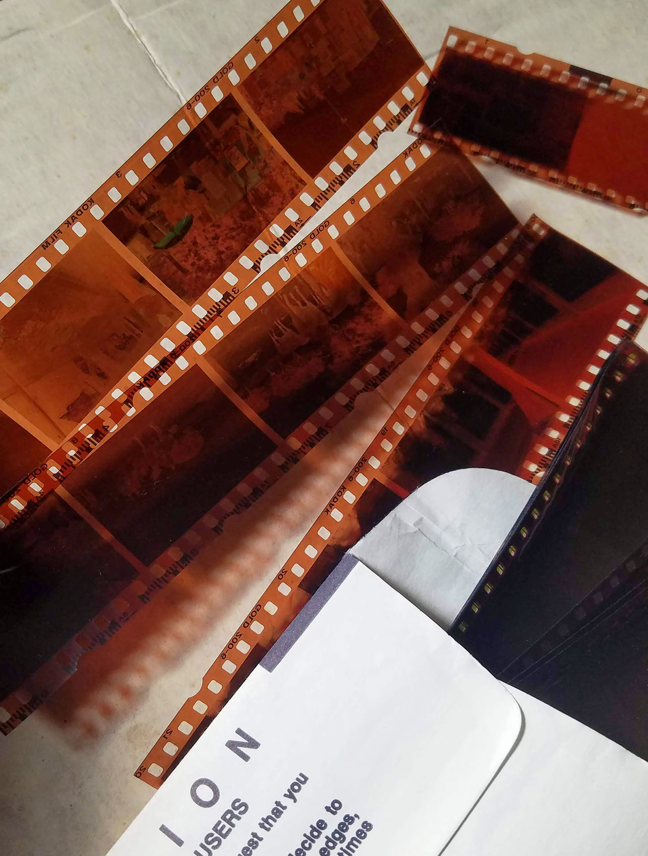 PhotoScan Plus - Digitizing Professionals